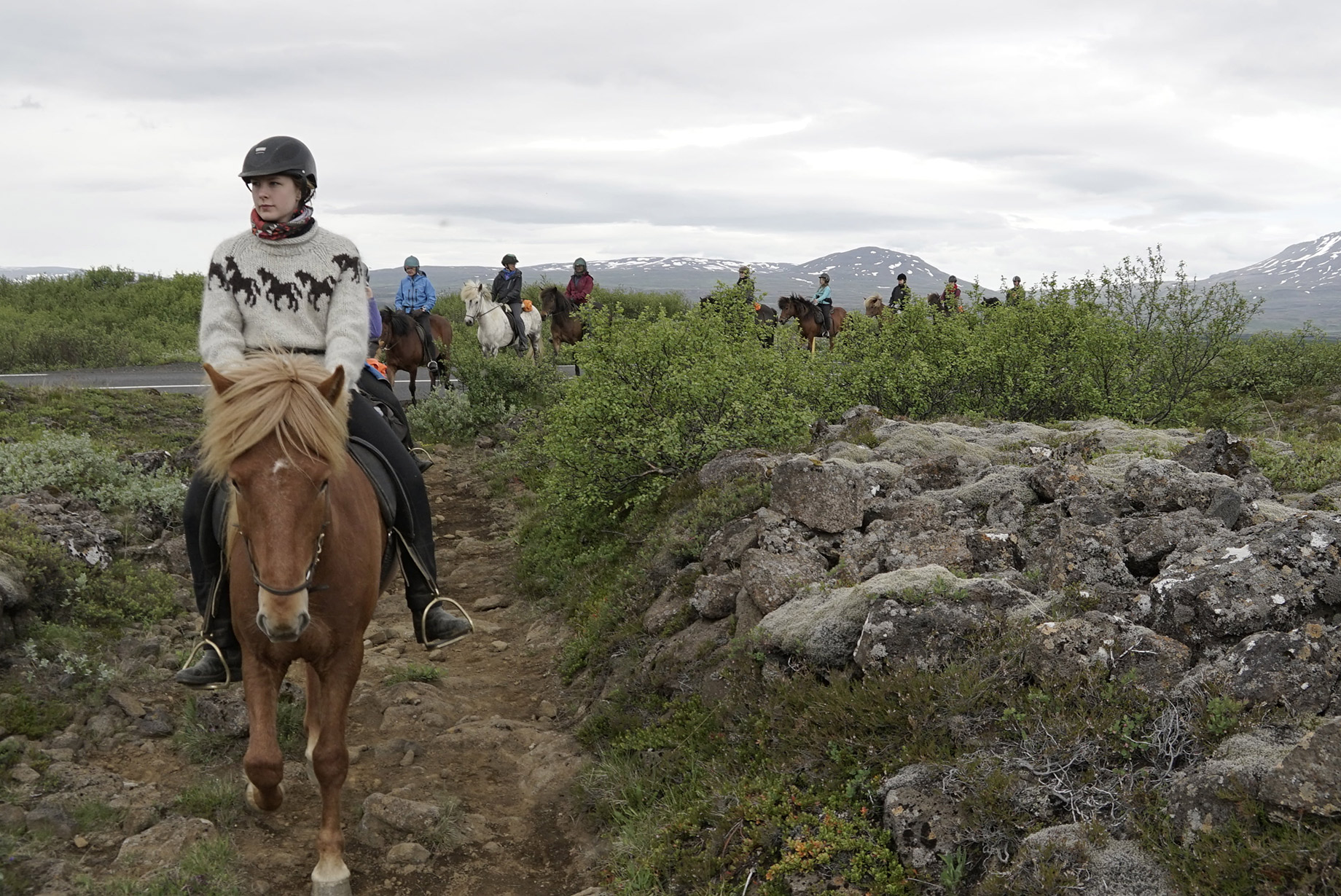 Ridetur i Island med fantastisk Islandsk natur I Islandske heste
